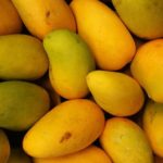 Origen del mango ataulfo, una fruta 100% mexicana - Ruraltv