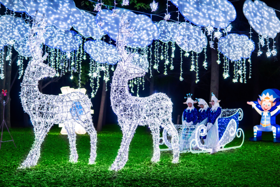Ven a vivir ¡El mejor espectáculo de luces e iluminación navideña ahora ...