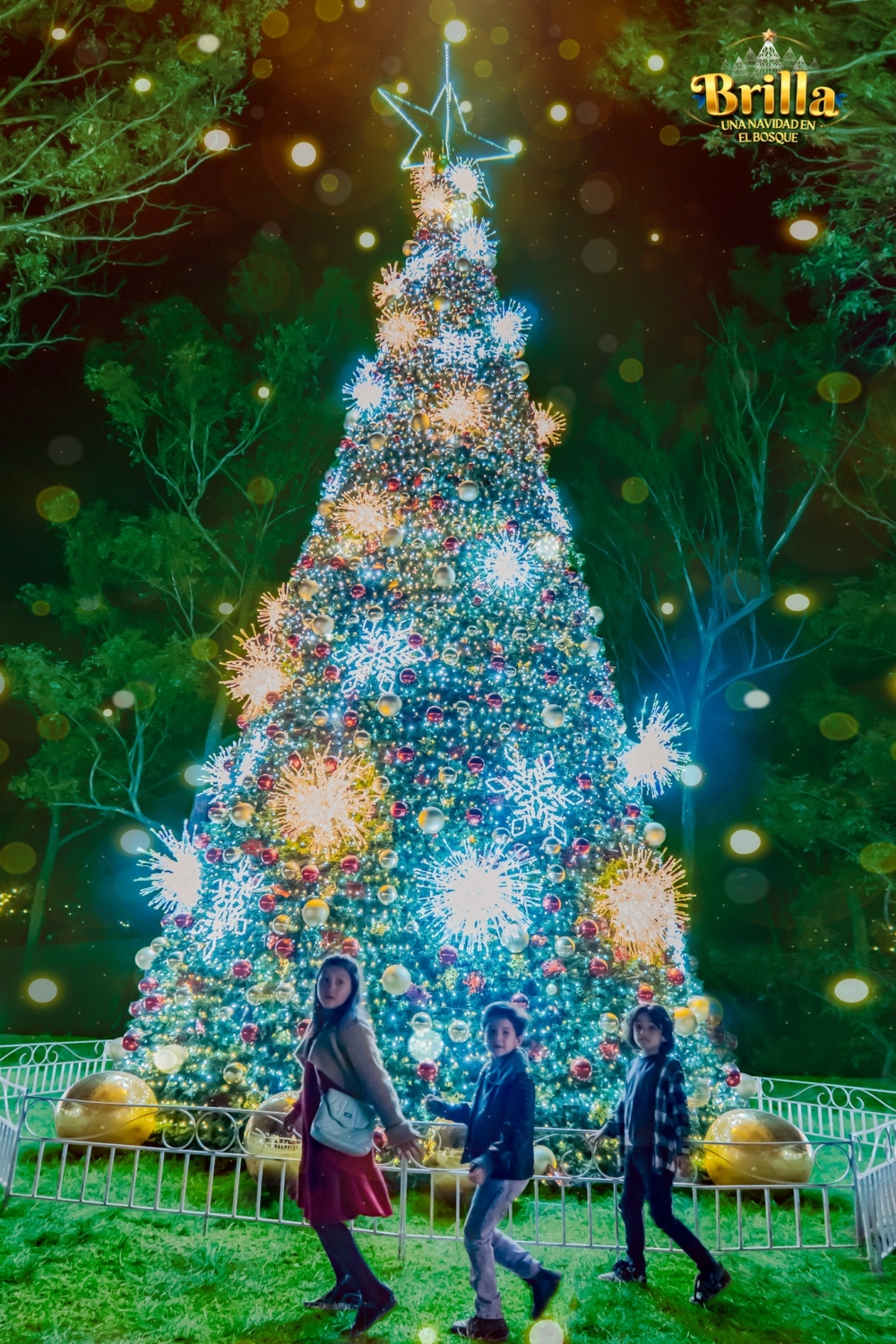 Ven a vivir ¡El mejor espectáculo de luces e iluminación navideña ahora ...