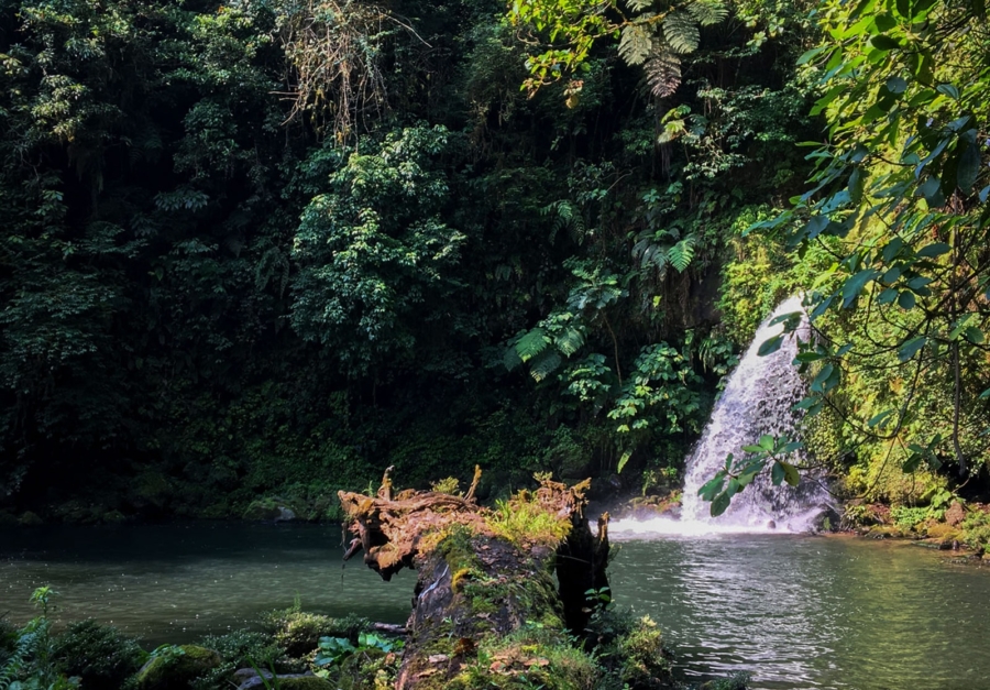 Conoce Teziutlán, la perla de la sierra poblana que lo tiene todo ...