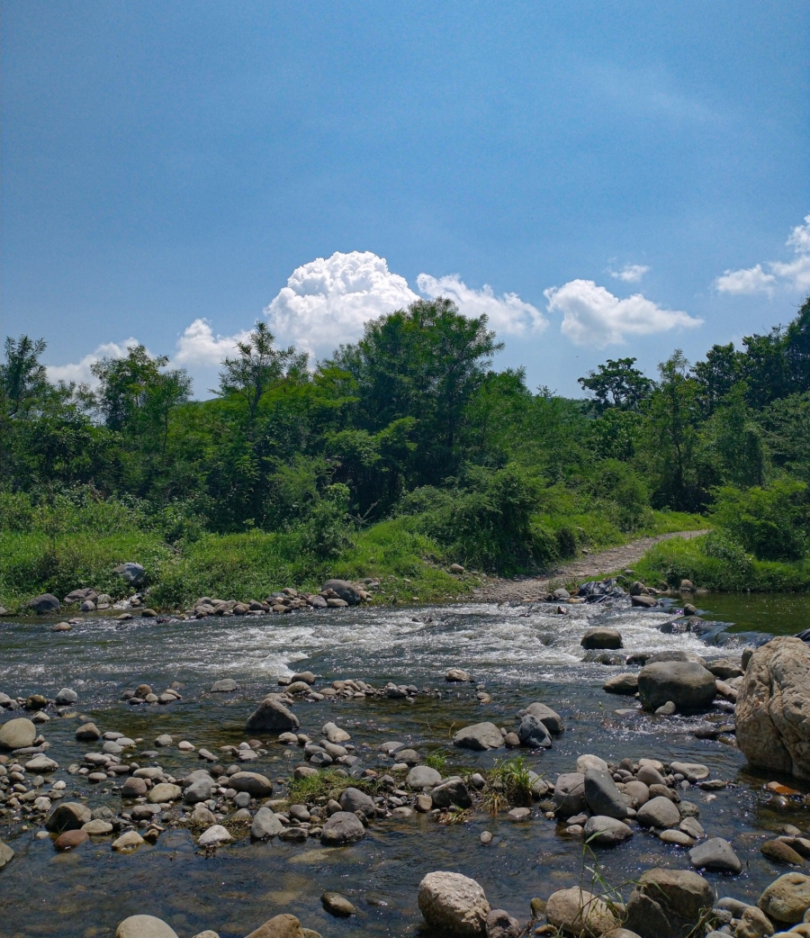 Río Salado, uno de los grandes causes de Colima - México Desconocido